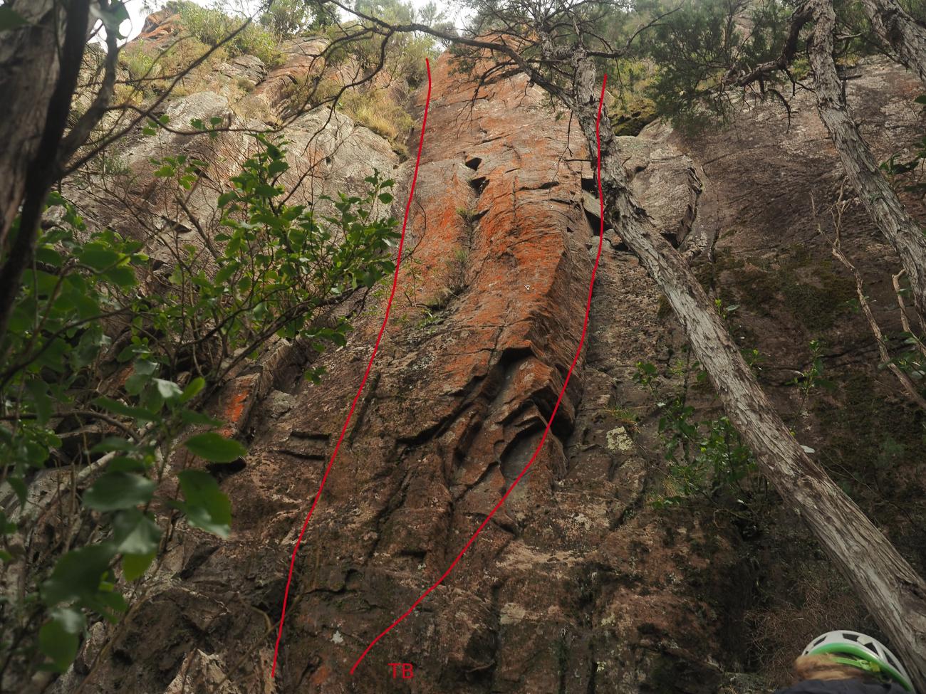 Turf Bomb | ClimbNZ