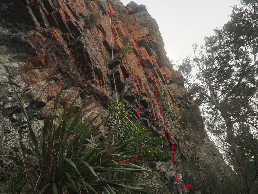 Floating Pillar | ClimbNZ
